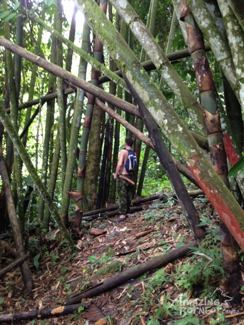 Top 10 Adrenaline Pumping Activities in Borneo | Travelogue - Amazing ...